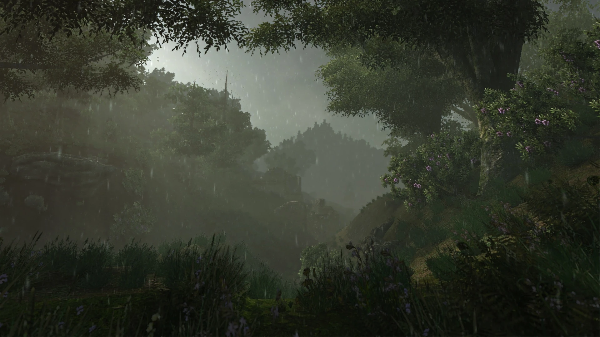 Hidden Valley | Scrolller