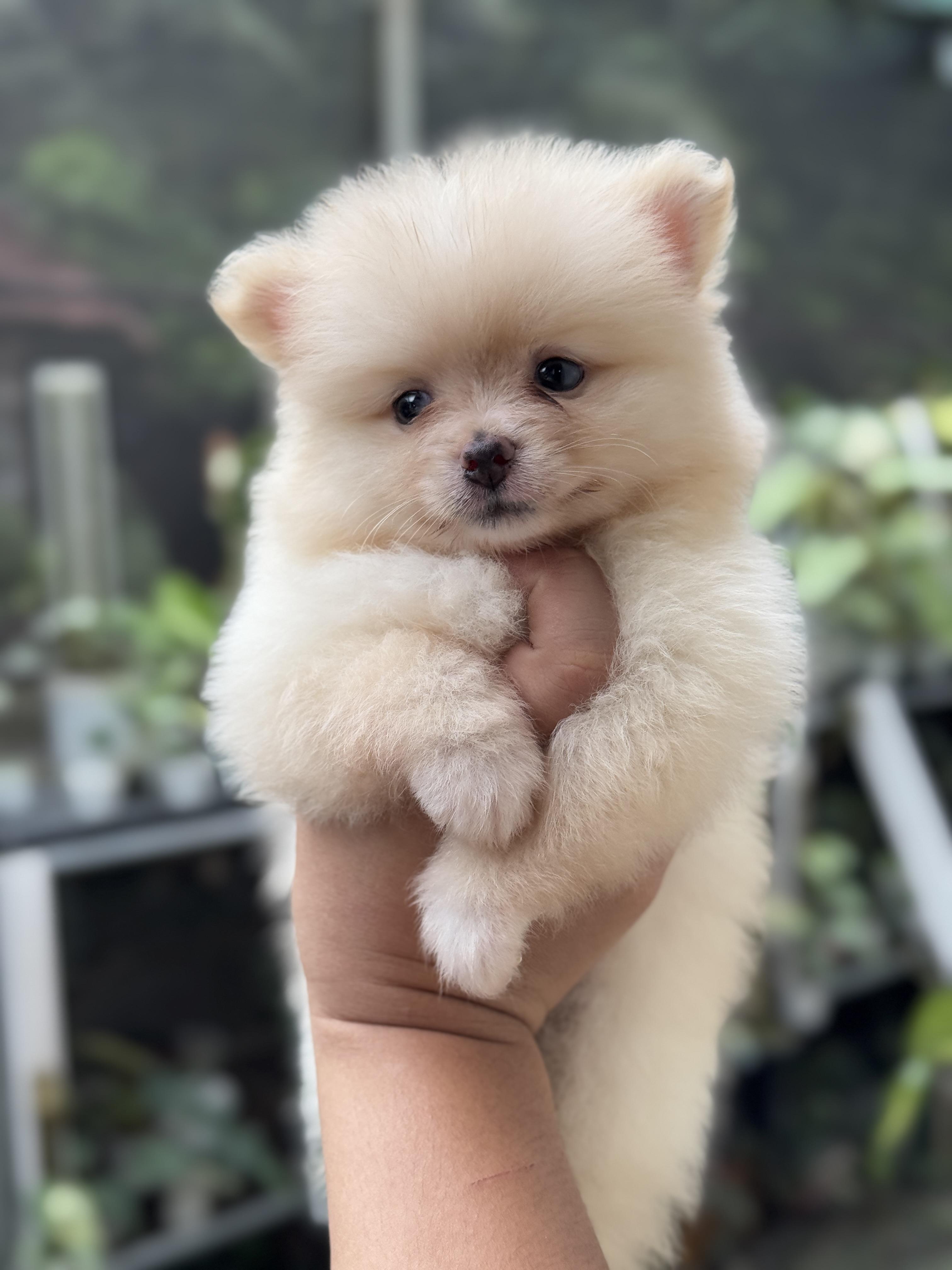 Meet Lucy! | Scrolller