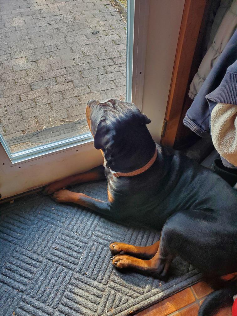 Waiting for my return | Scrolller