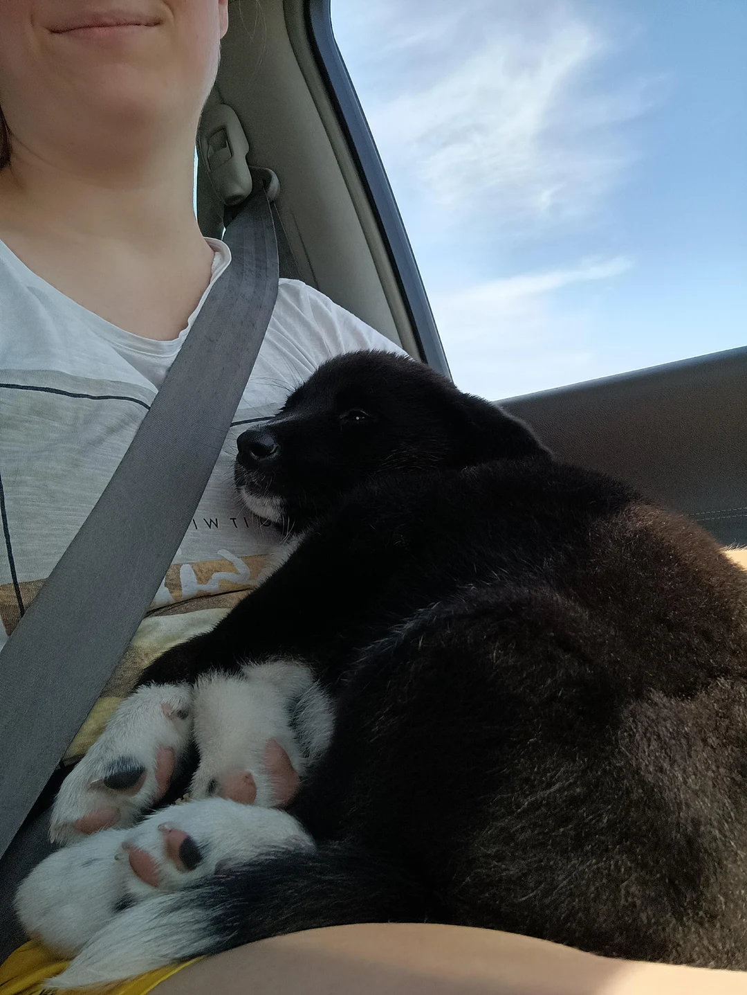 First time swimming | Scrolller