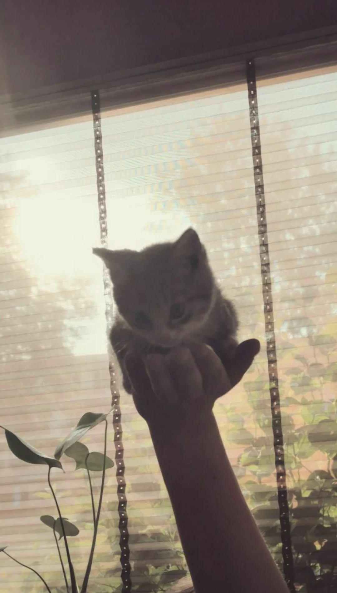 what do you guys think about this cute little loaf? | Scrolller