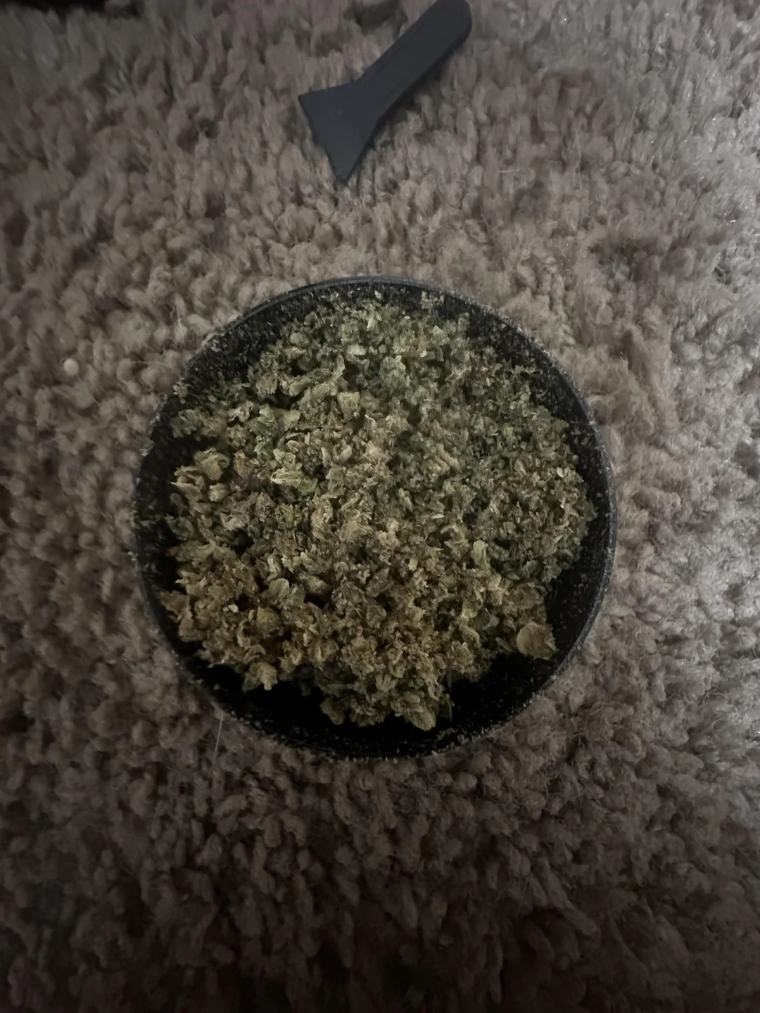 gorilla glue🦍 | Scrolller