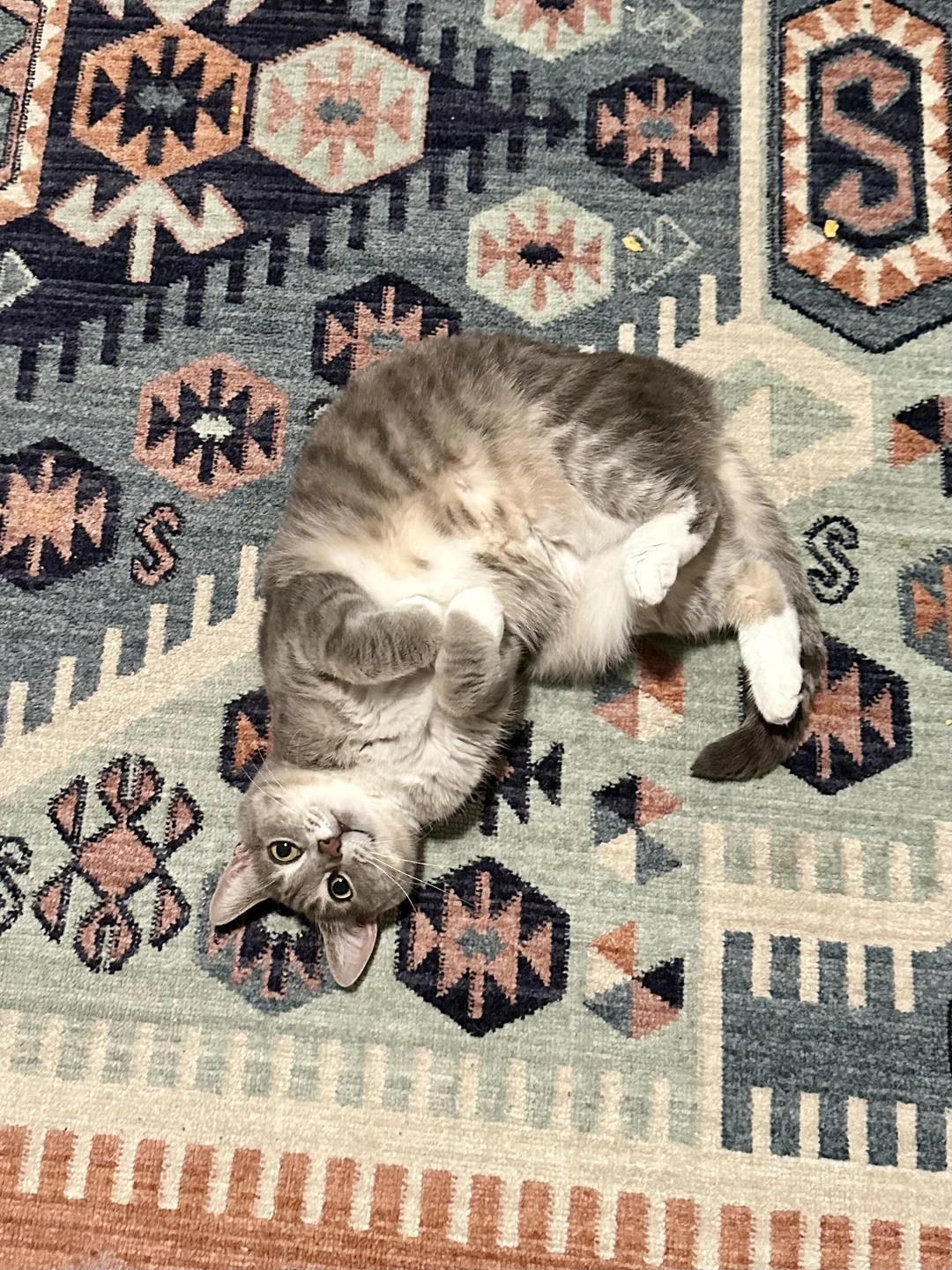 Floof Scrolller