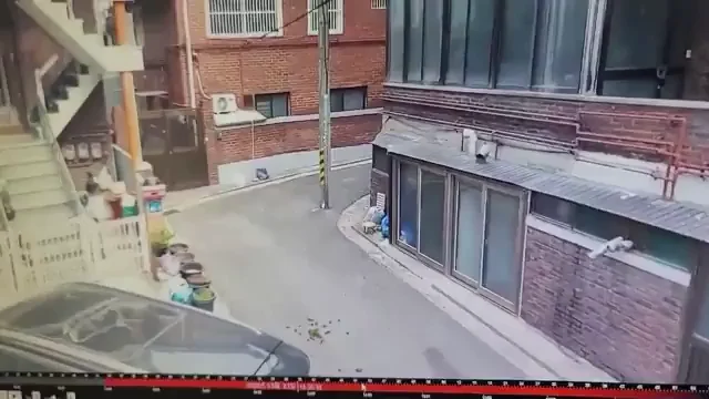 I'm going to leave | Scrolller