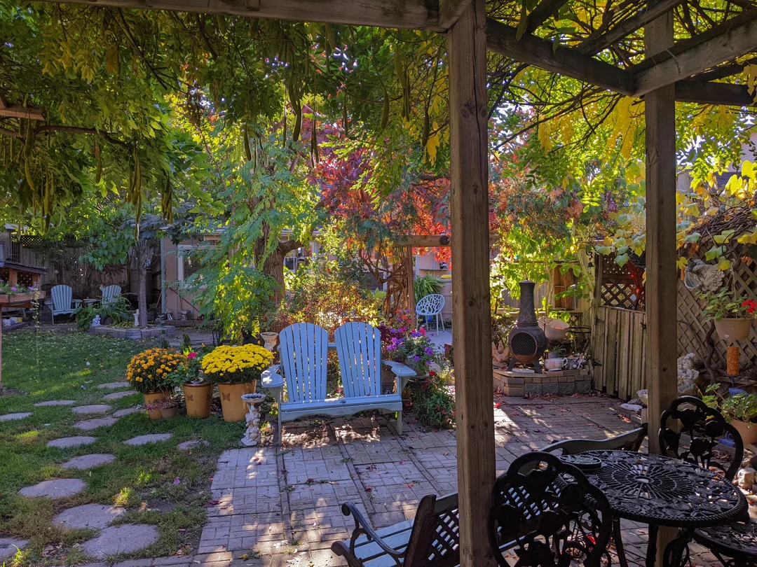 The backyard looks especially cozy in the fall | Scrolller