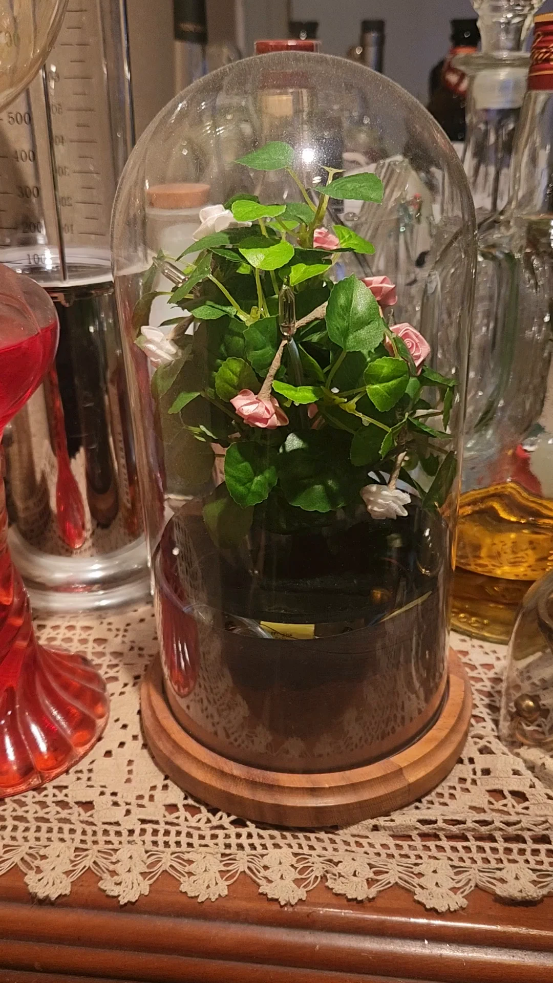 Fire Fly Dome | Scrolller