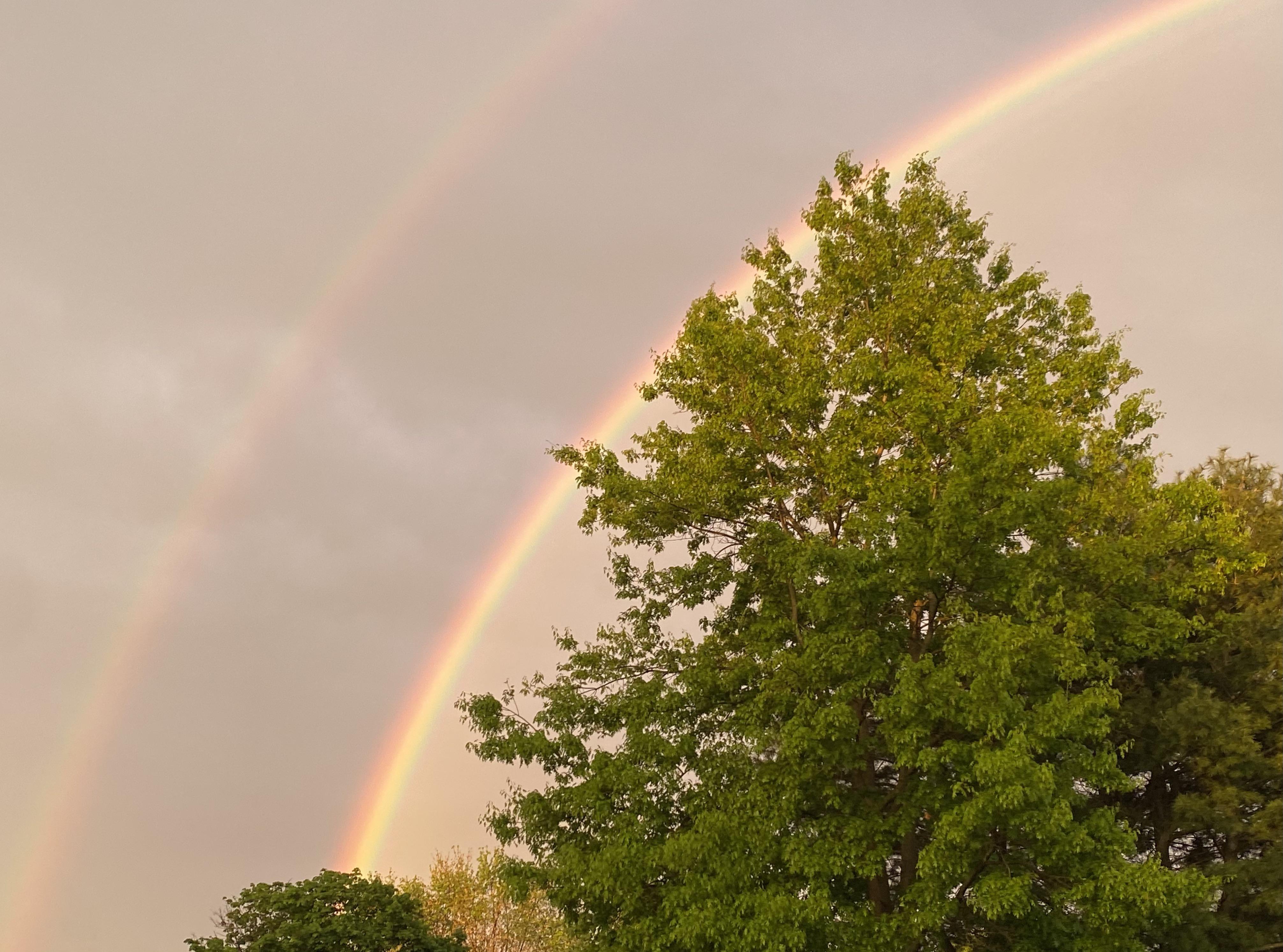 The most vibrant rainbow I’ve ever seen [OC] | Scrolller