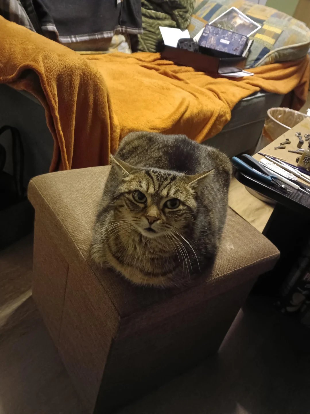 Loaf on a square | Scrolller