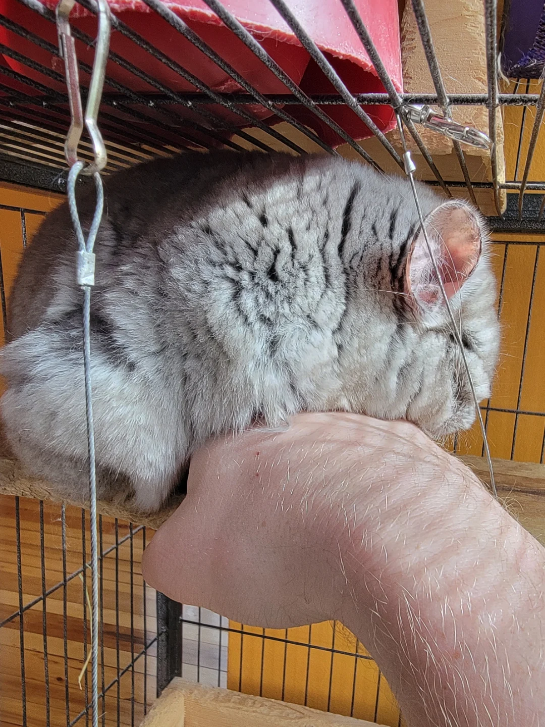 I'm stuck | Scrolller