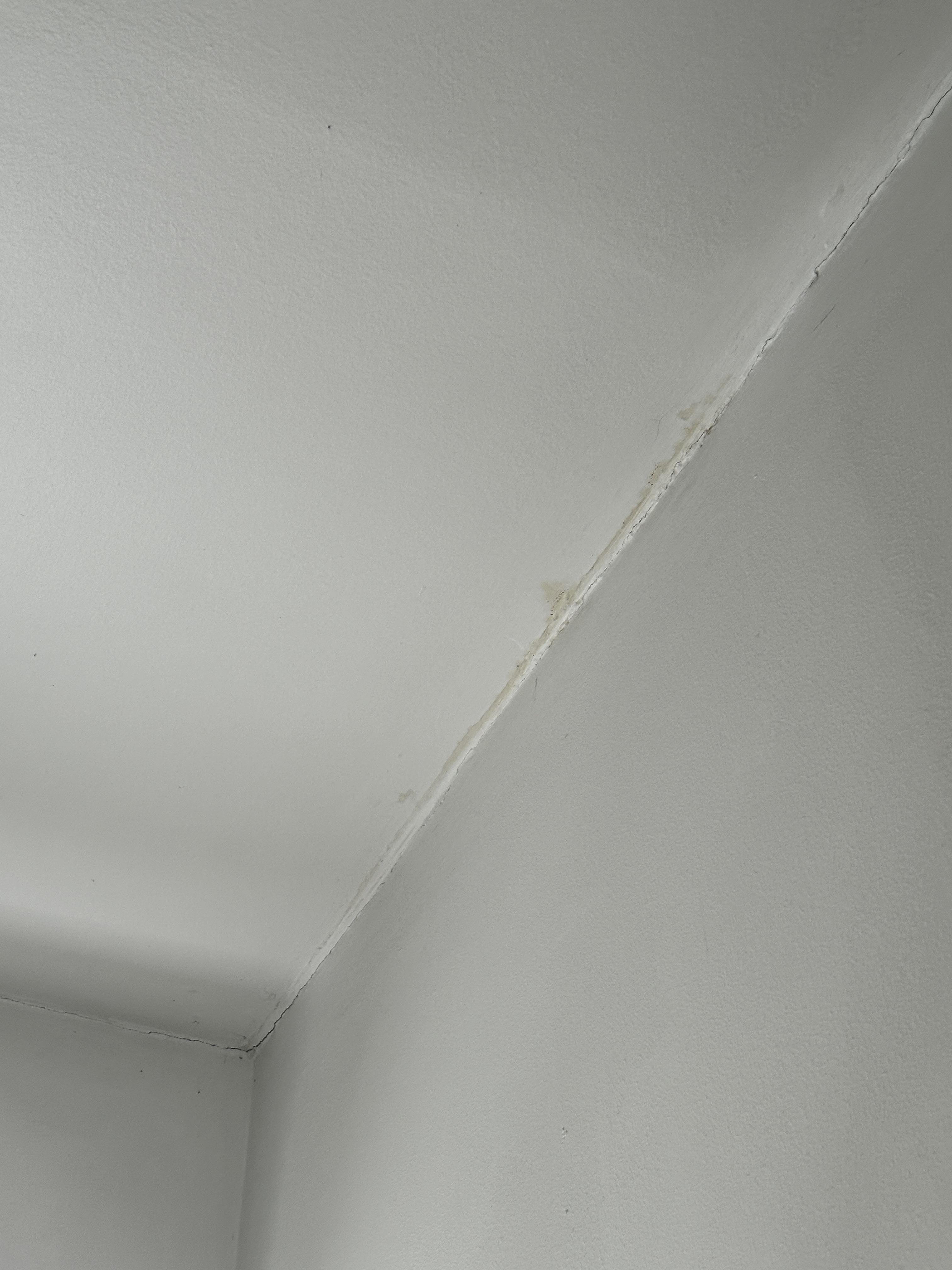 Are these cracks dangerous? | Scrolller