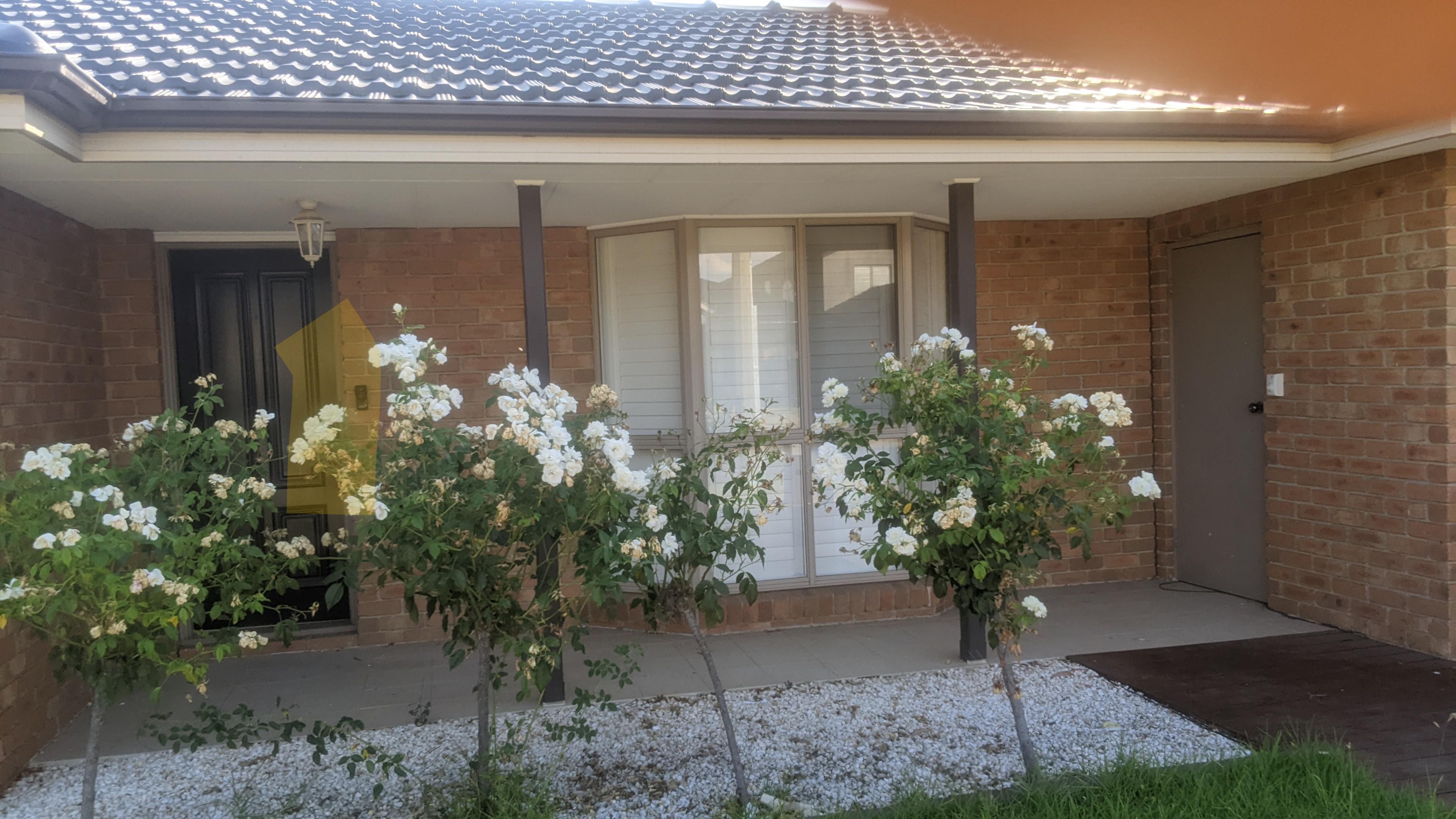 Did Auspost "follow delivery protocols" ? | Scrolller