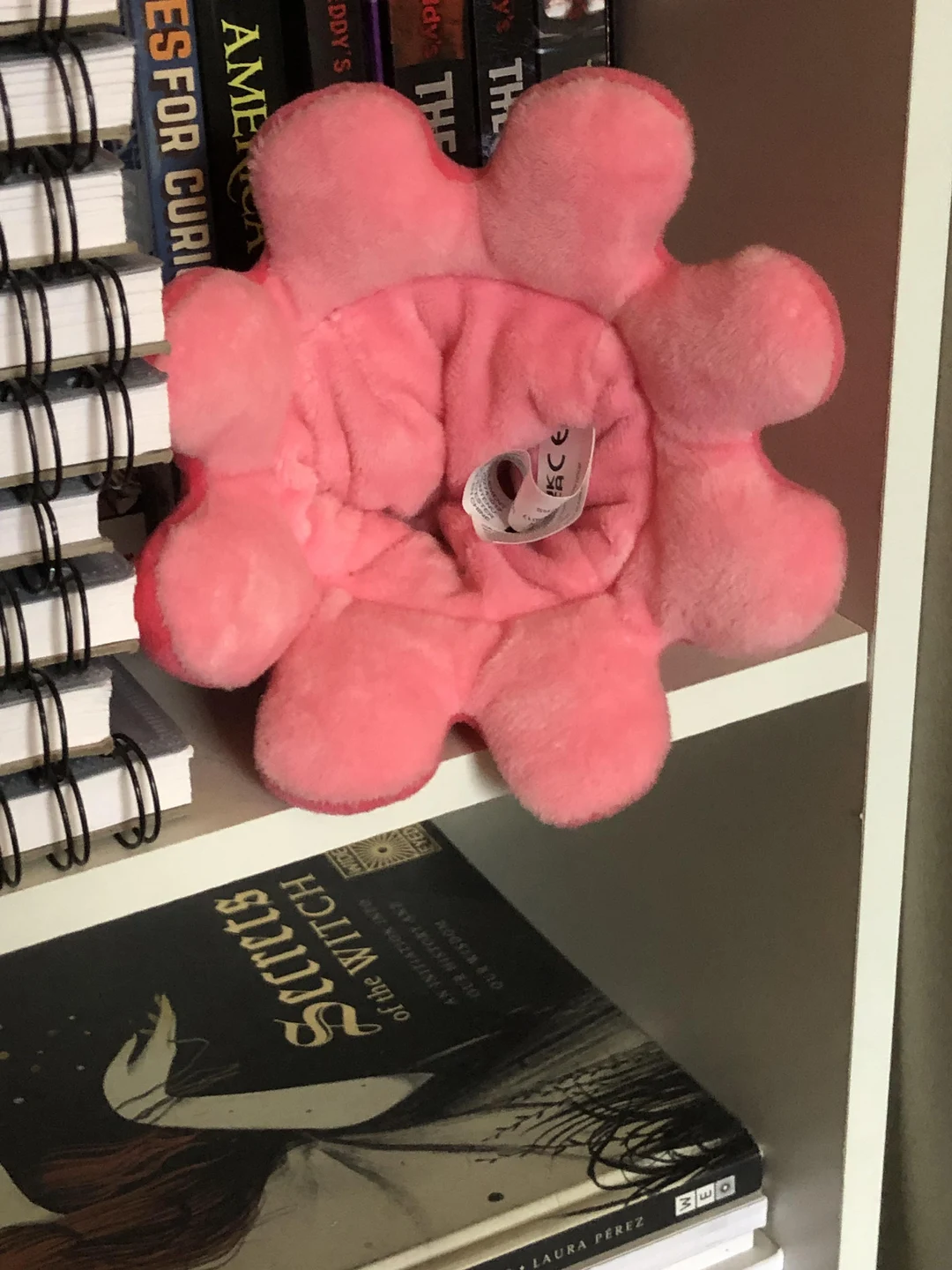 The bottom of my octopus plushie | Scrolller