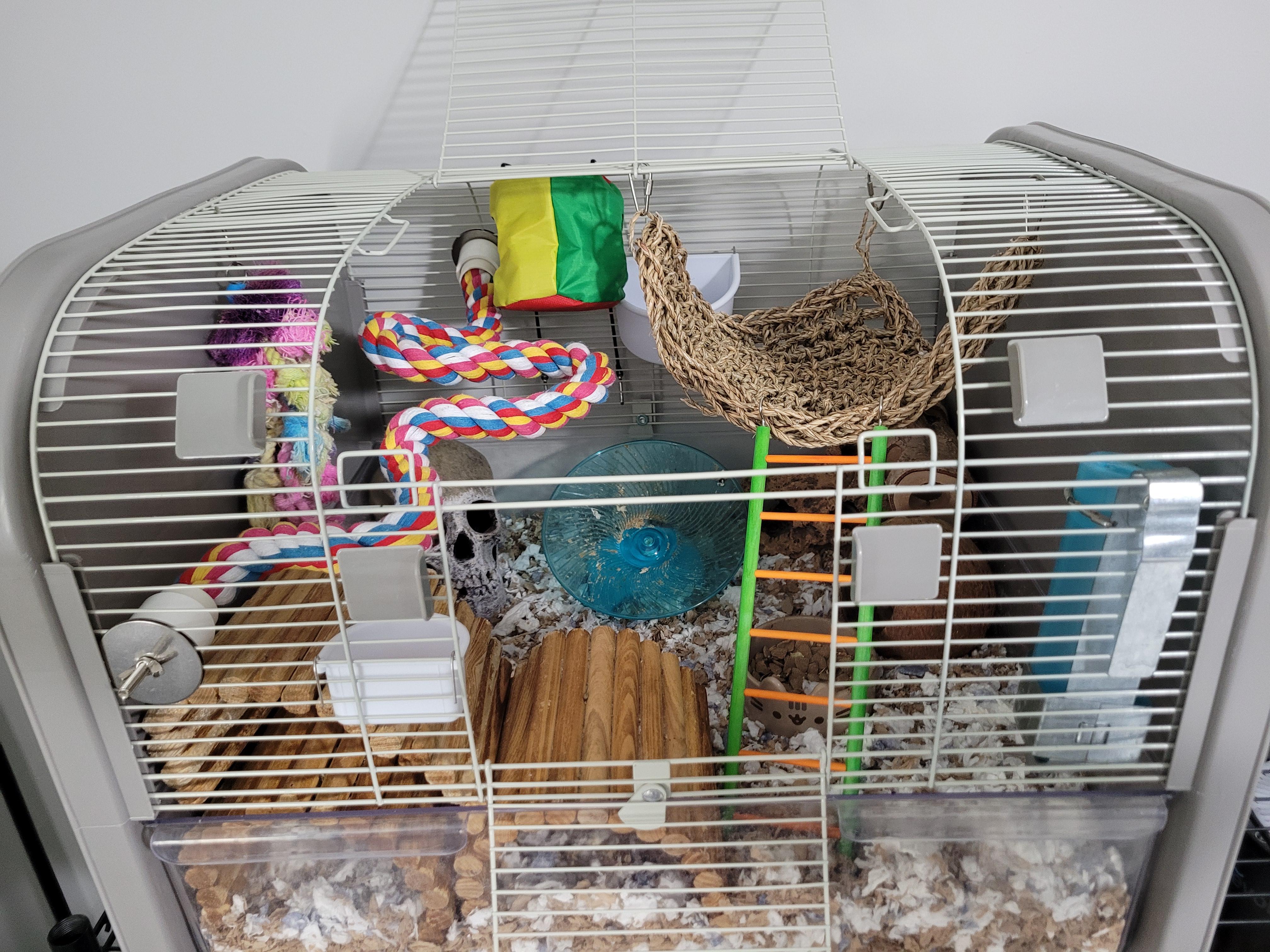 Sweet new digs for Sir Stallone! Pretty pleased with this new line of spacious cages from ...