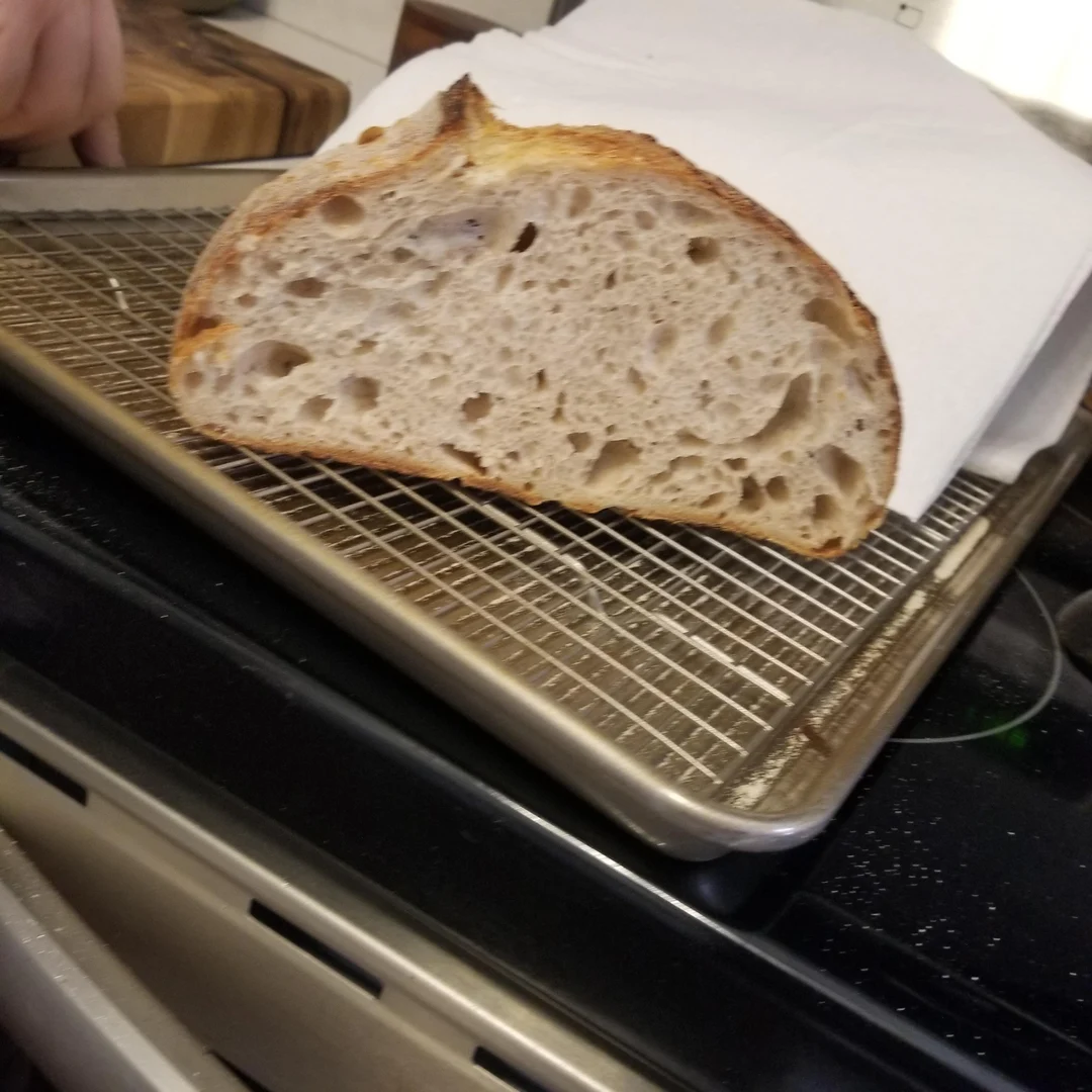 crumb shot from today's bake | Scrolller