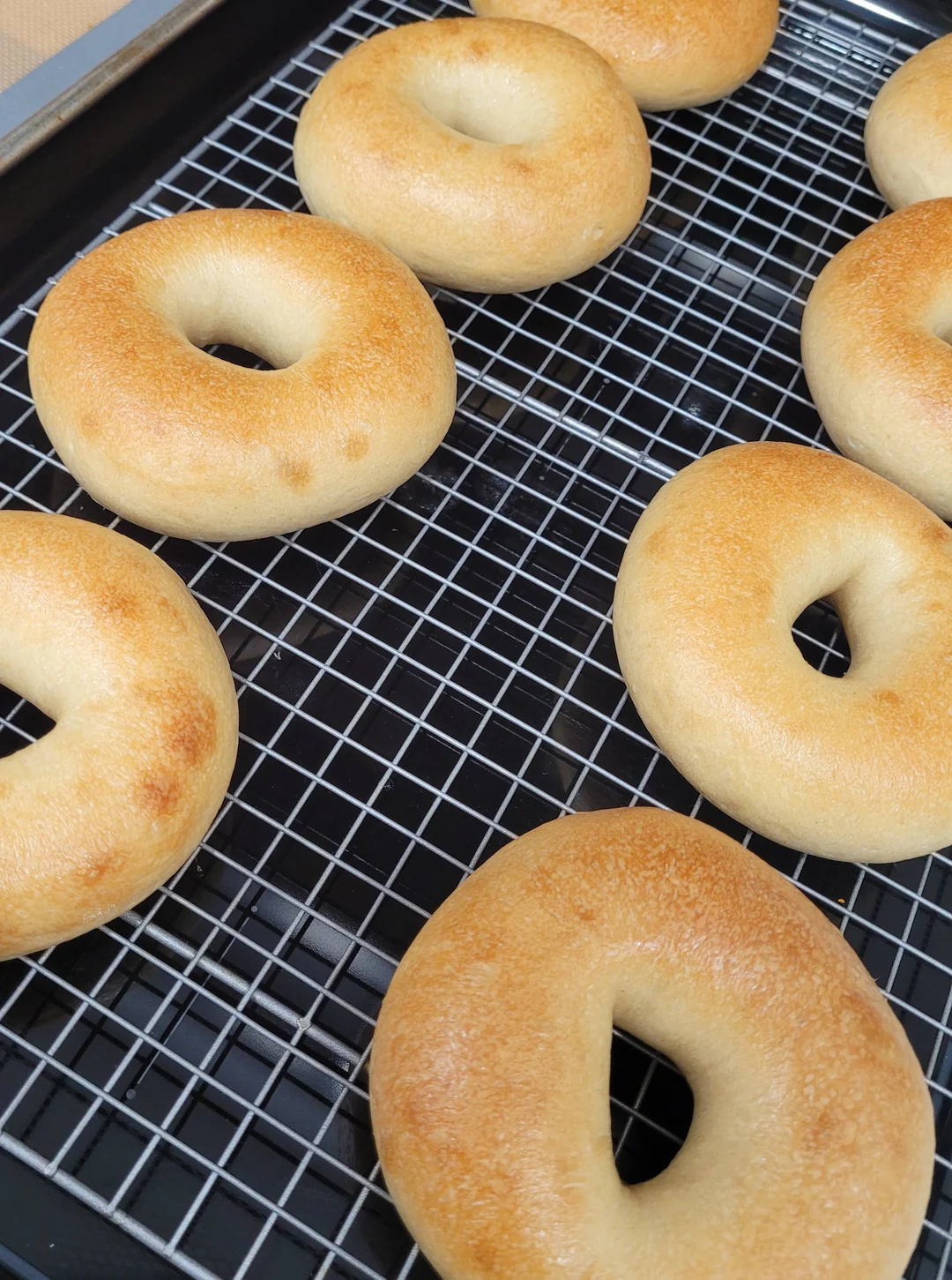 Finally made a batch of decent bagels! | Scrolller
