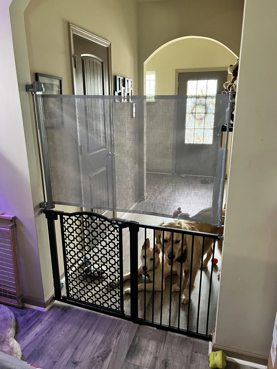 Potty training | Scrolller