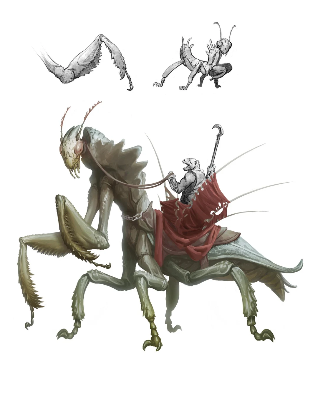 Giant Mantis by Cory Trego-Erdner | Scrolller