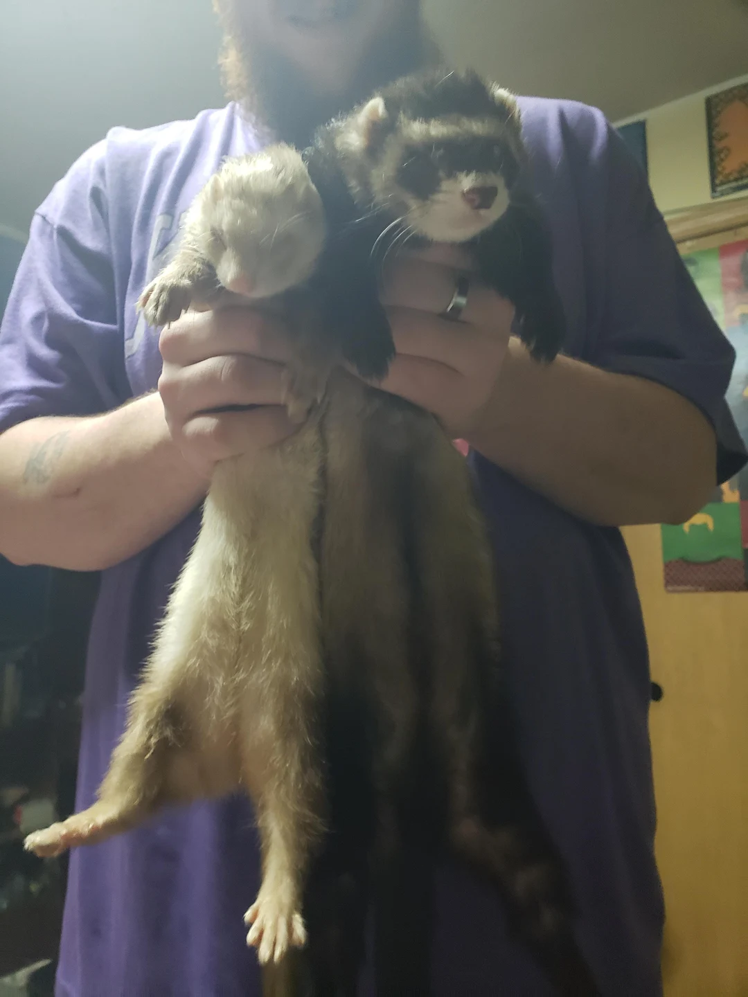 Our Babies | Scrolller