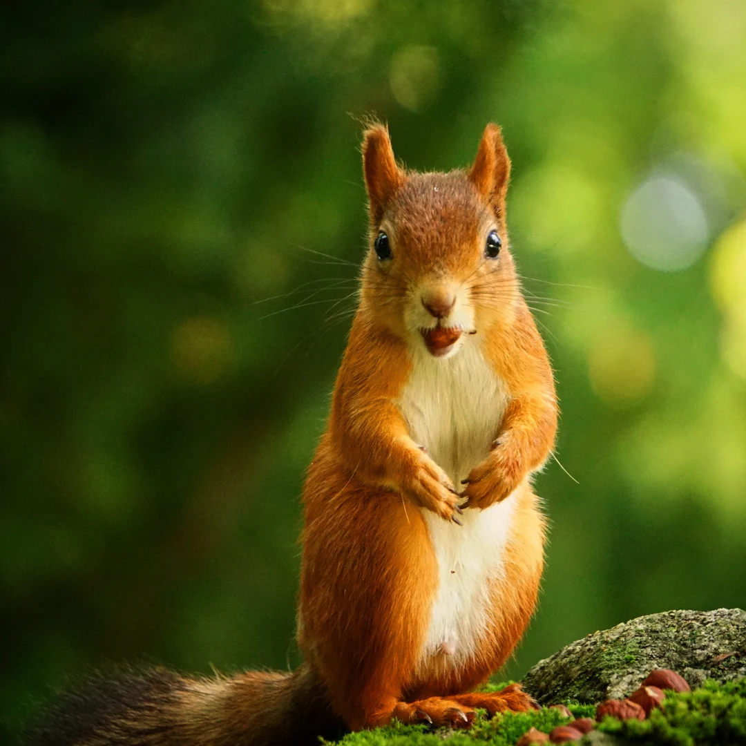 Posing for nuts | Scrolller