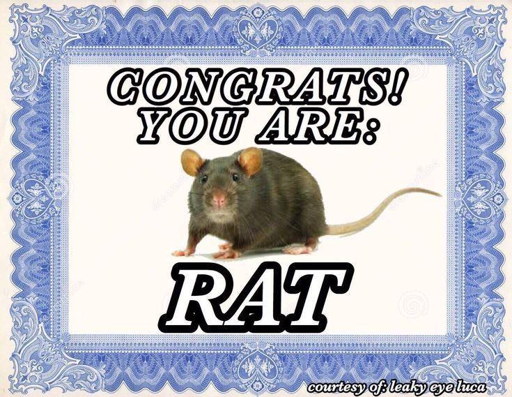 Please do not resist. | Scrolller