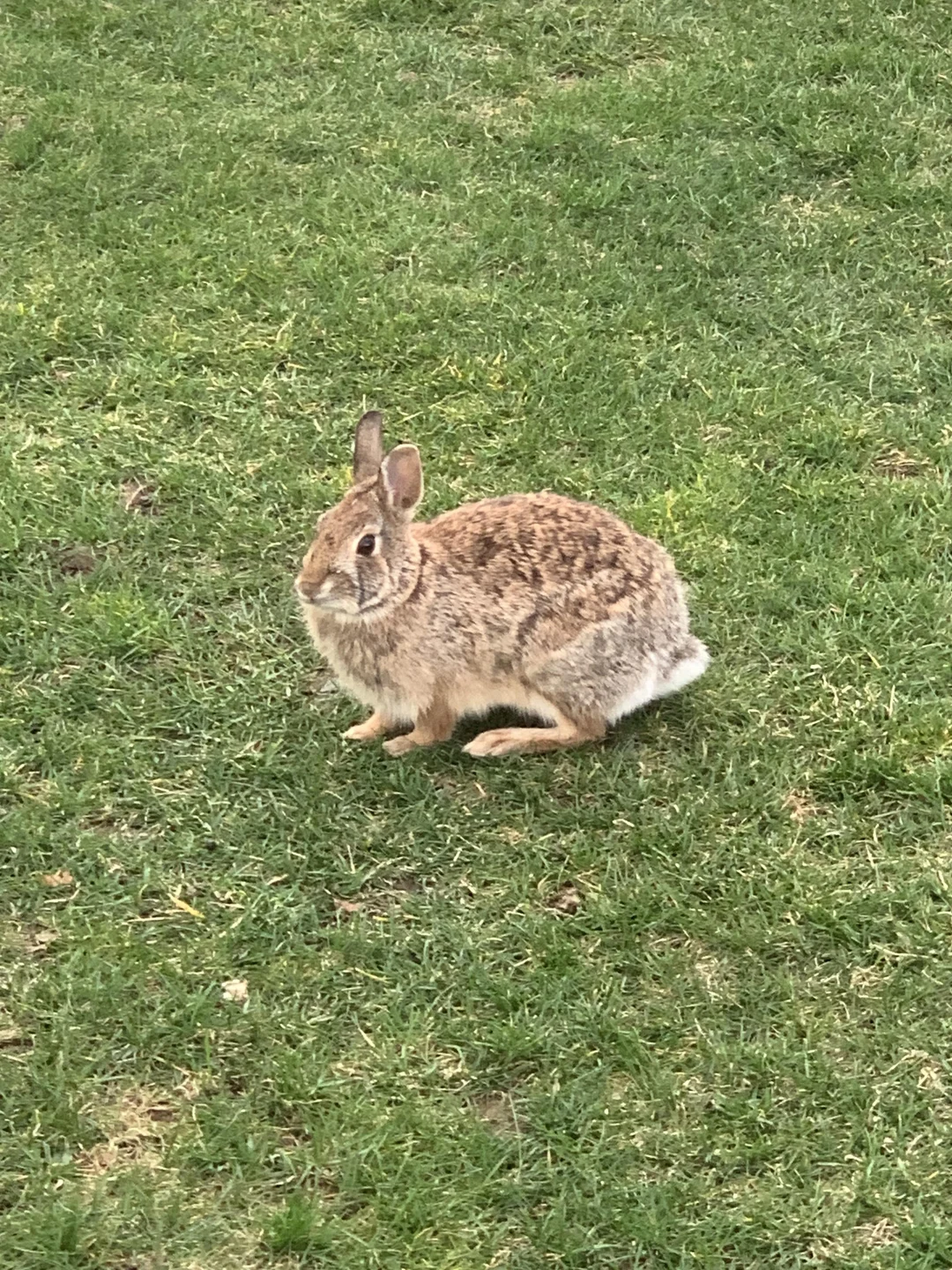 Discover more like Cute: Round Boi and Related Content | Scrolller