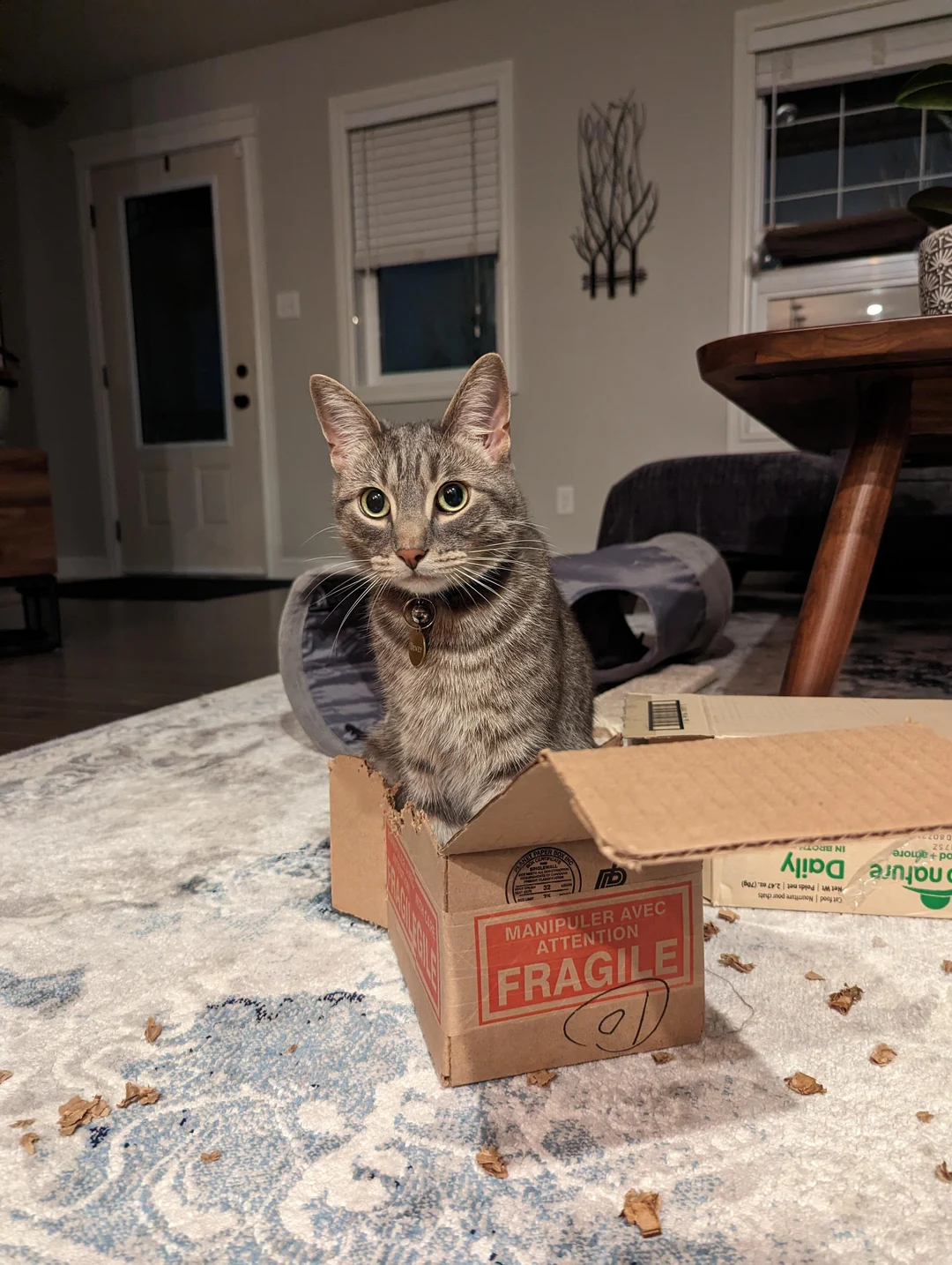 A fragile boy stuck in another trap | Scrolller