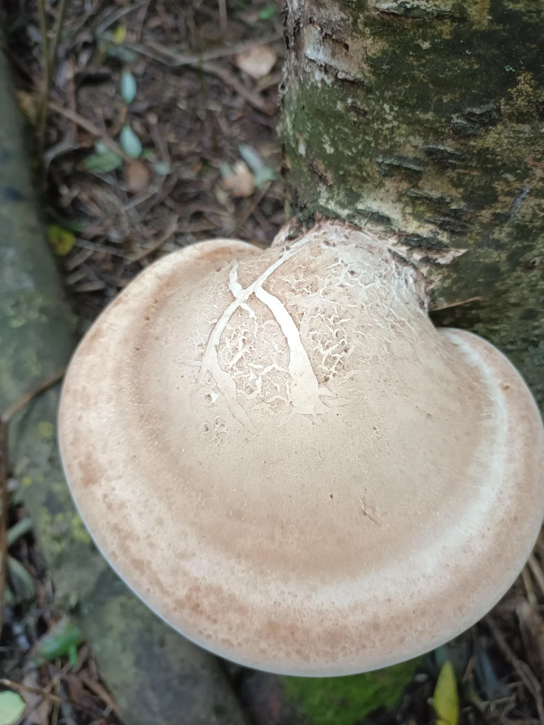 East Midlands Uk Scrolller