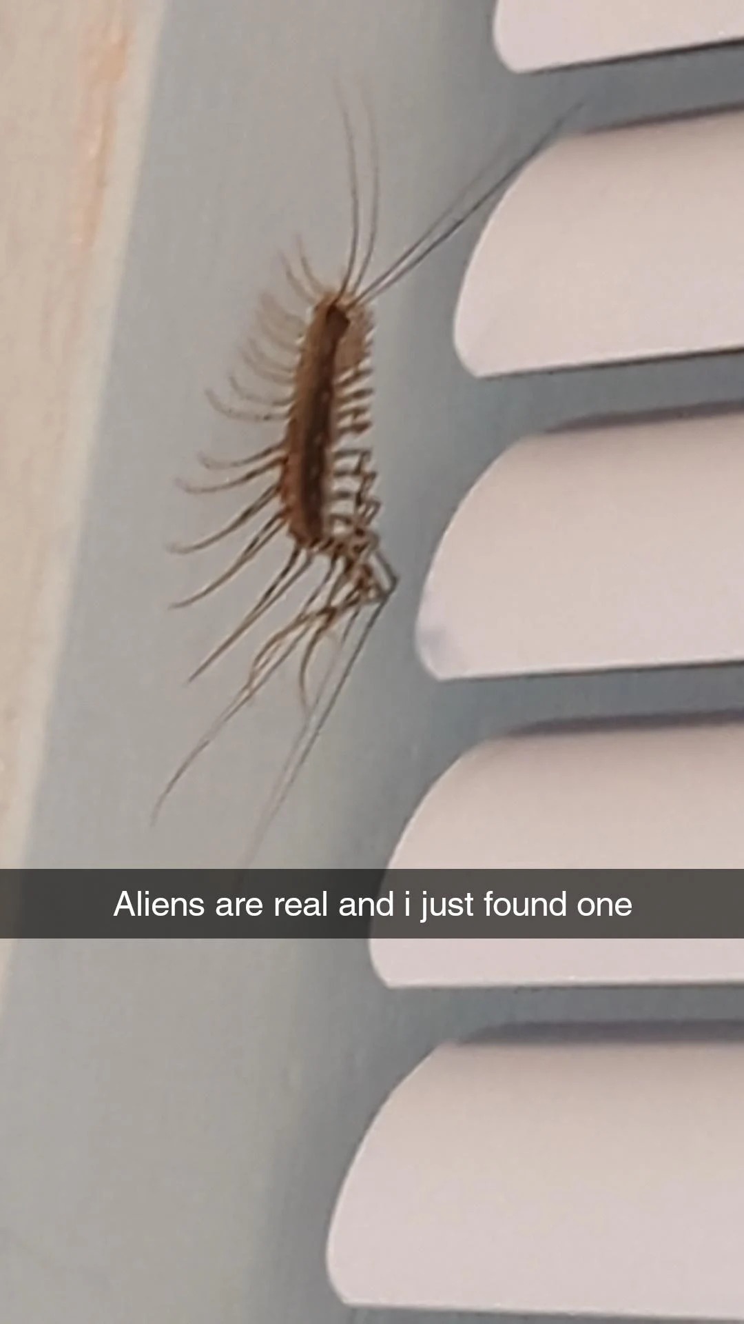 Im terrified what is this? | Scrolller