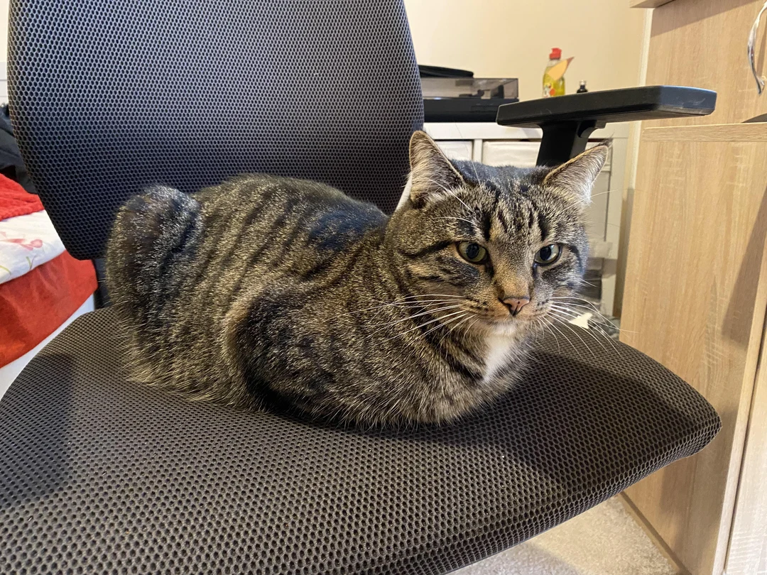Business loaf | Scrolller