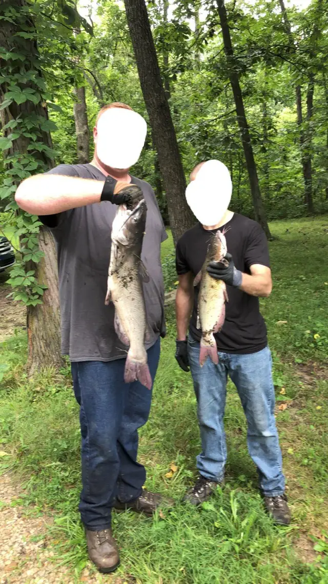 Can not wait for summer time kitty fishin again! | Scrolller