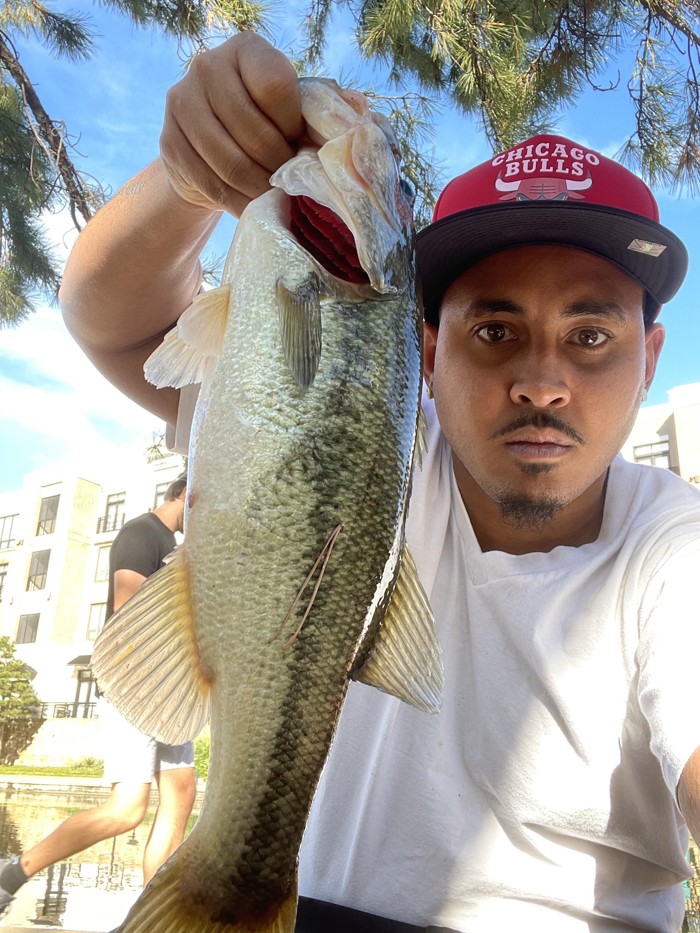 Another slab before work ! | Scrolller