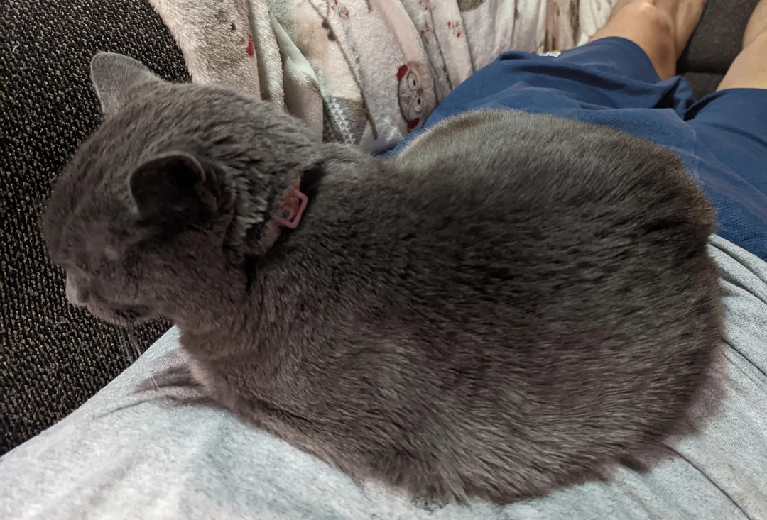 Crooked loaf | Scrolller