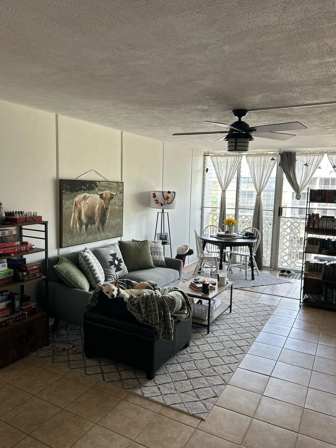 My (and my dog’s) small living space | Scrolller