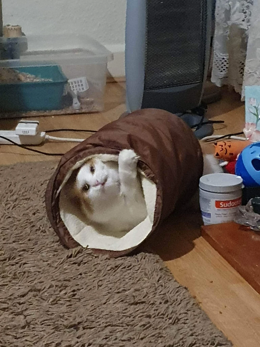 The joy of the tunnel | Scrolller