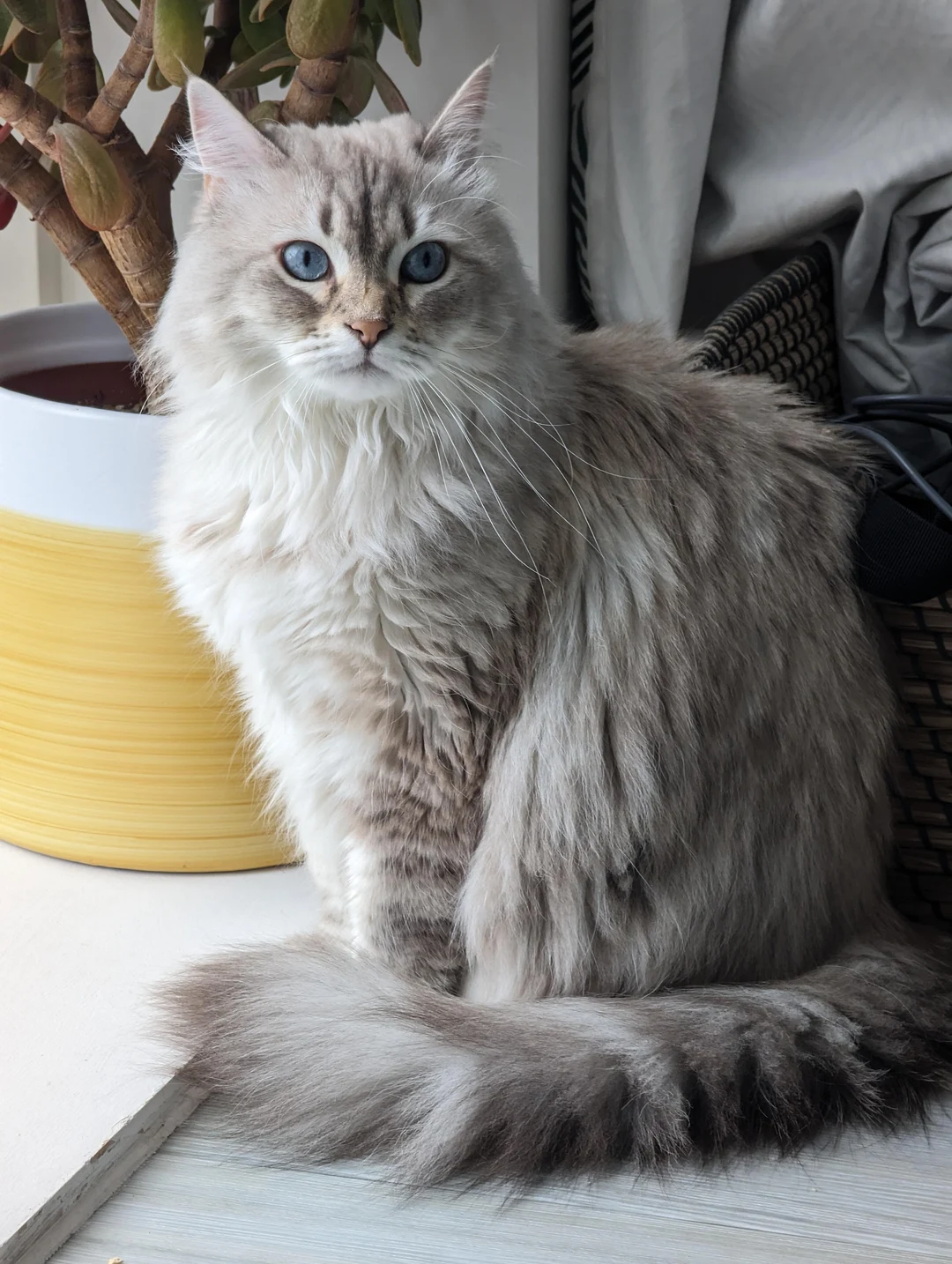 Managed to get a pose finally | Scrolller