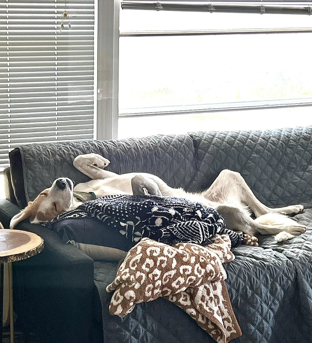 Marge takes napping seriously | Scrolller