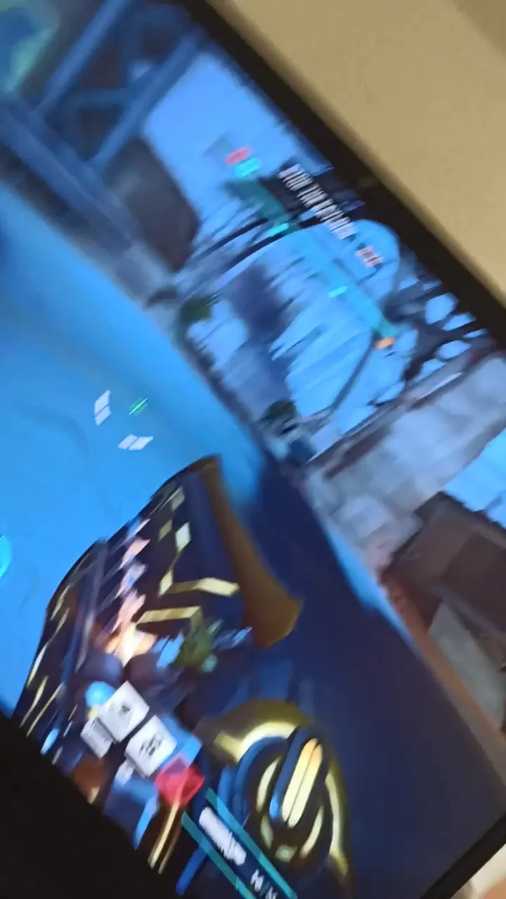 What is that bug ?? | Scrolller