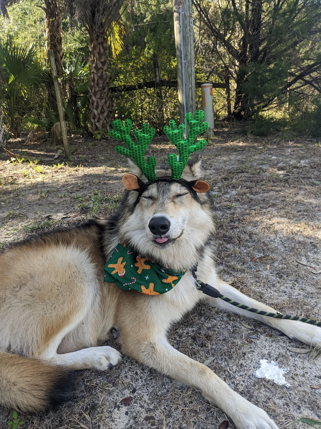 Taking photos of P4 and got this glorious shot. 😂 | Scrolller