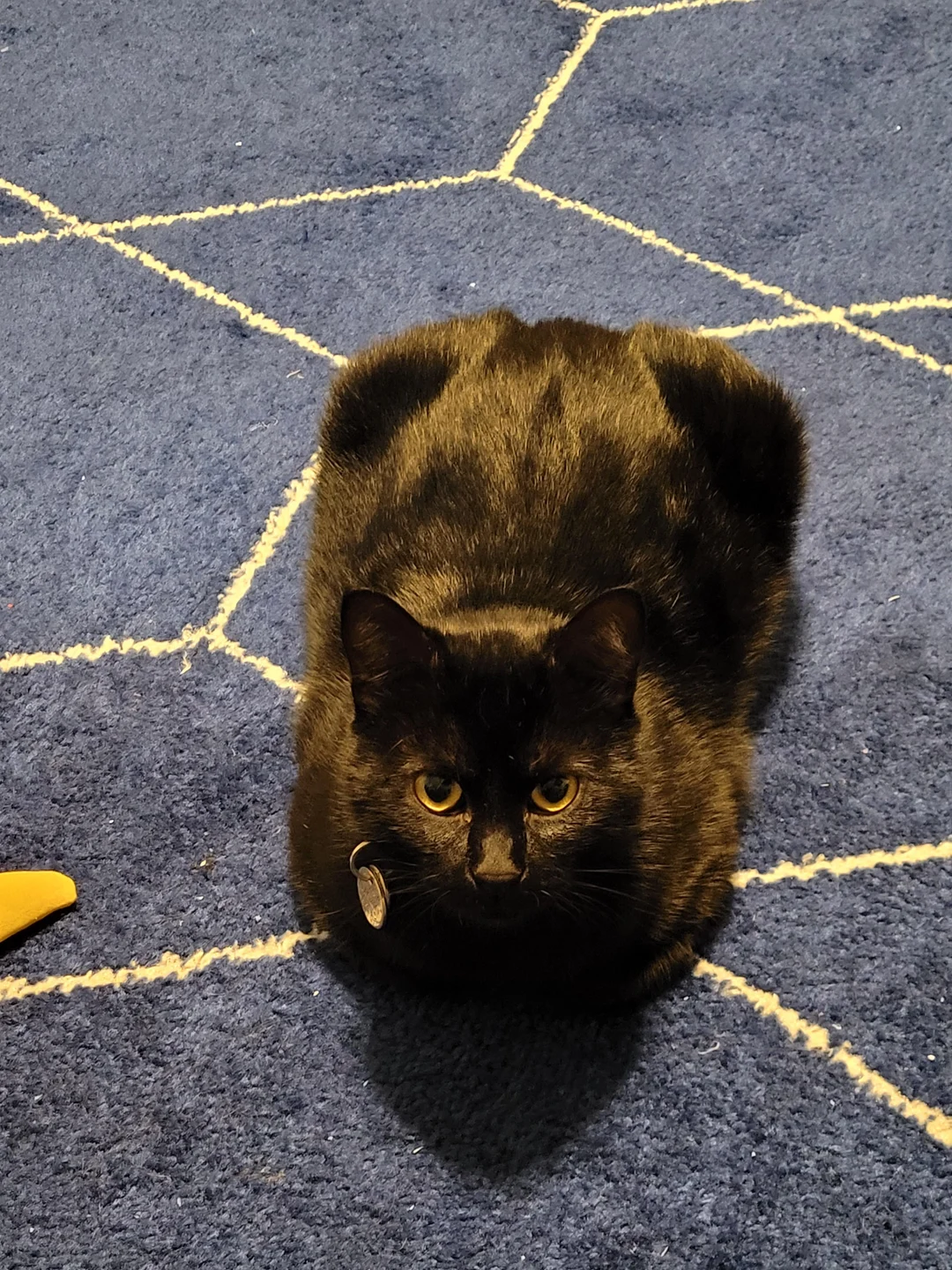 rectangular voidloaf at it again | Scrolller