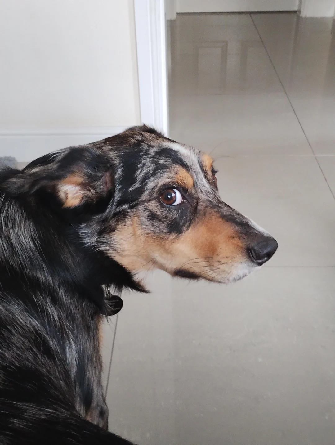 Side eye | Scrolller