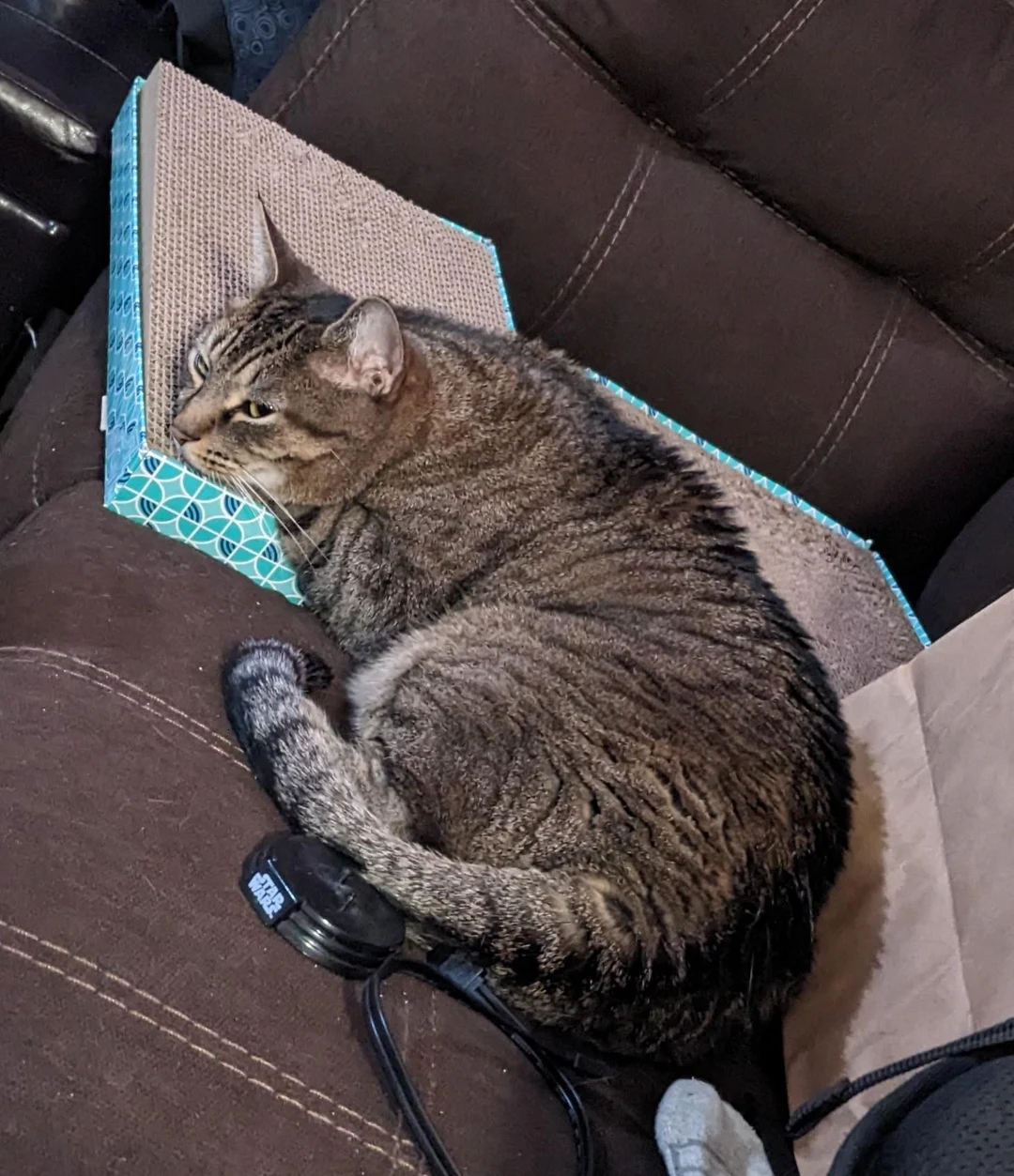 Niko... Just done with your bs. | Scrolller