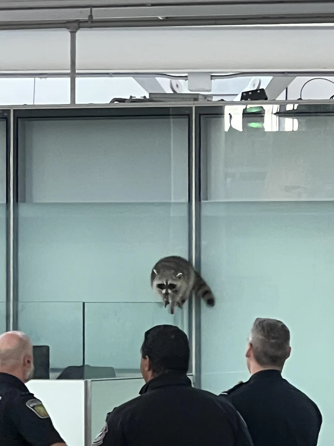 Security scrambler | Scrolller