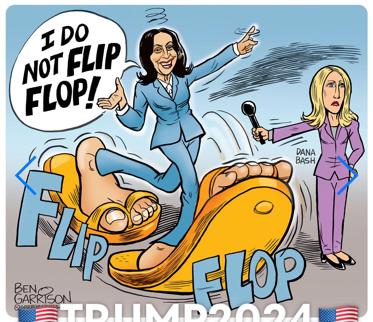 Flip Flop 🩴 | Scrolller