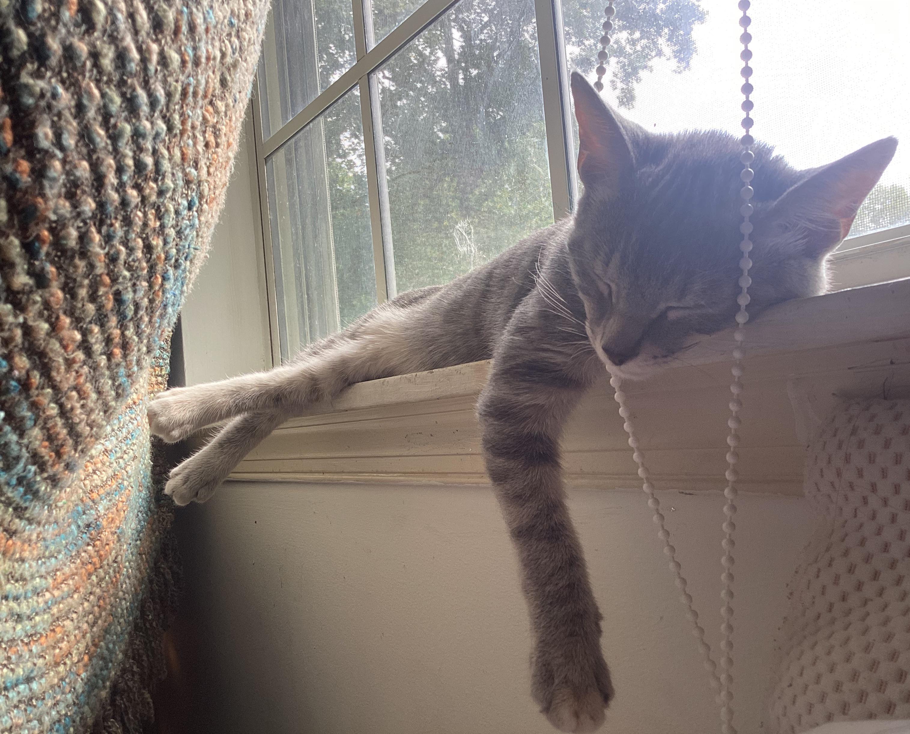 Just hanging | Scrolller