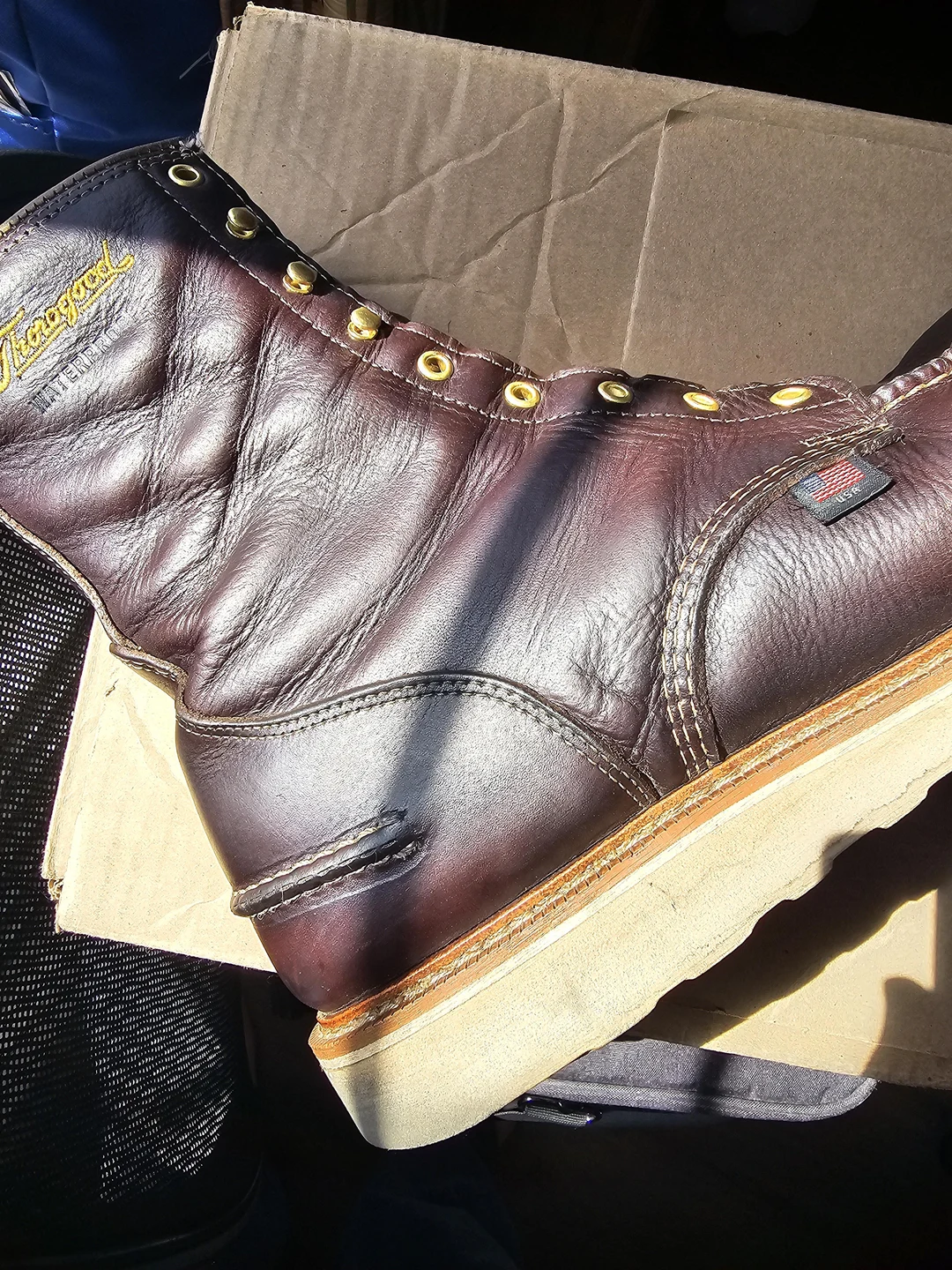 Thorogood 1957 | Scrolller