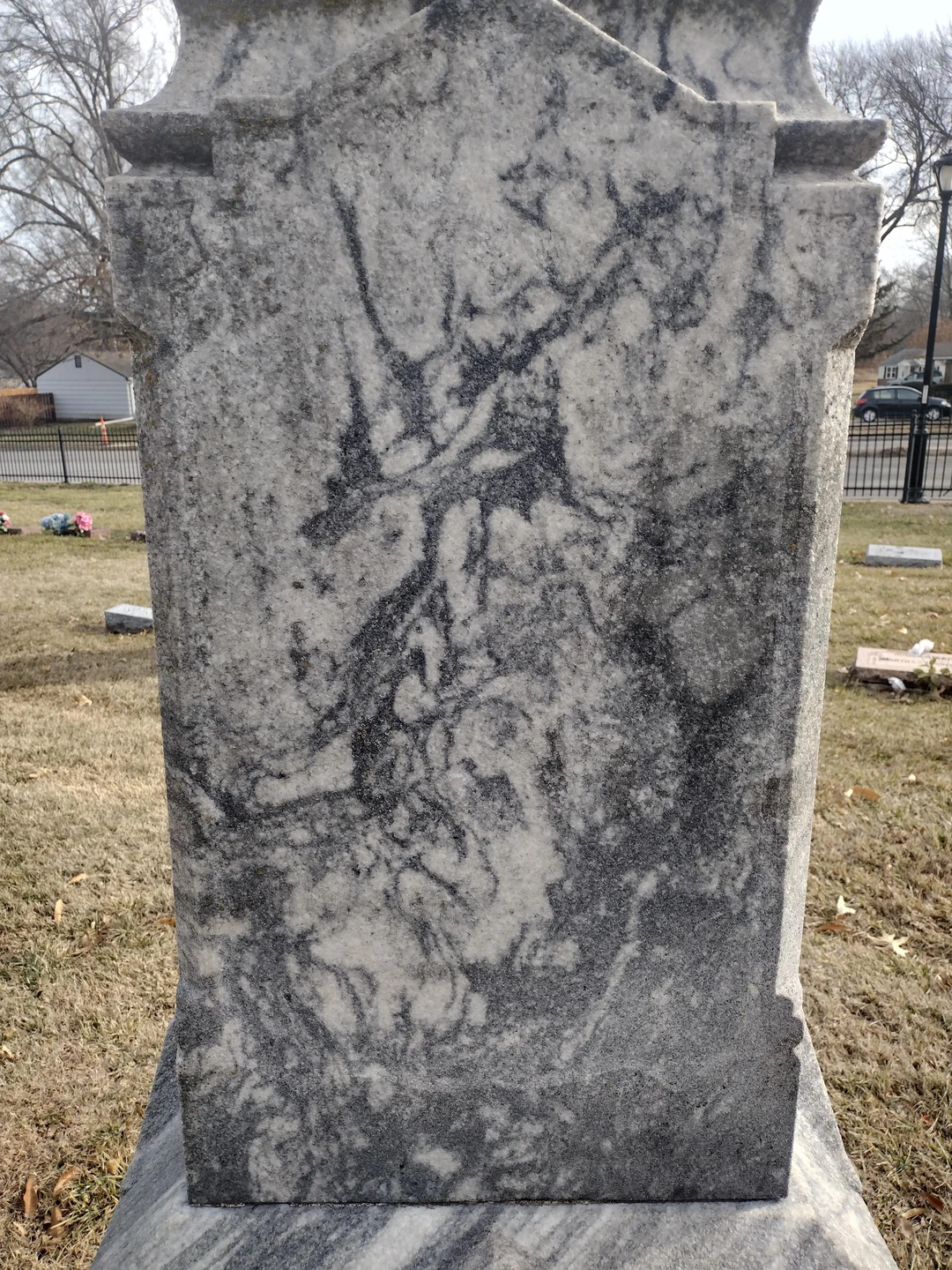 Marble beauty | Scrolller