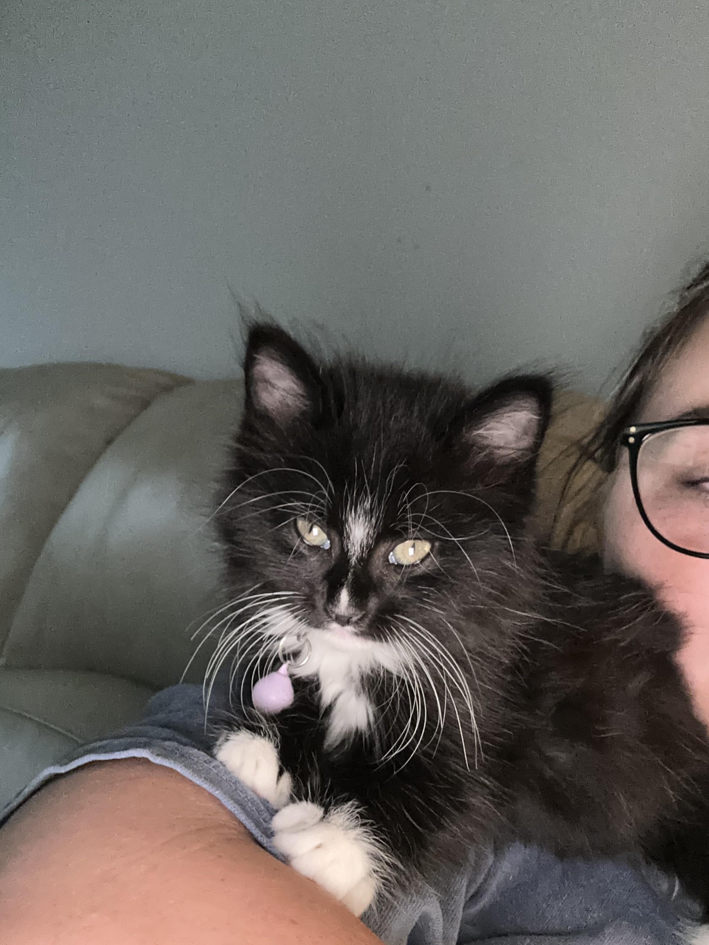 Supermodel Girl 🤭🐾 | Scrolller