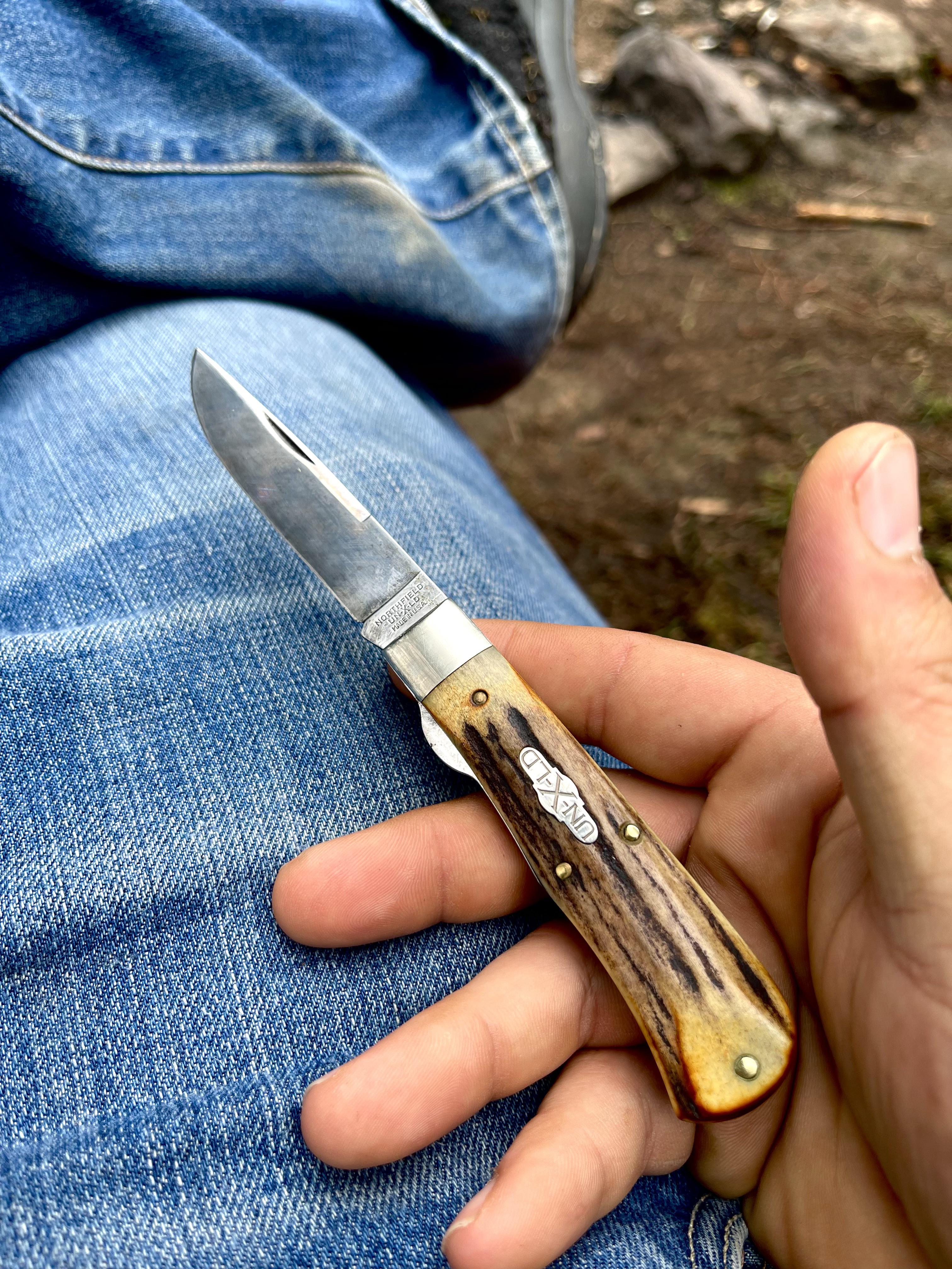 Scout at camp. | Scrolller