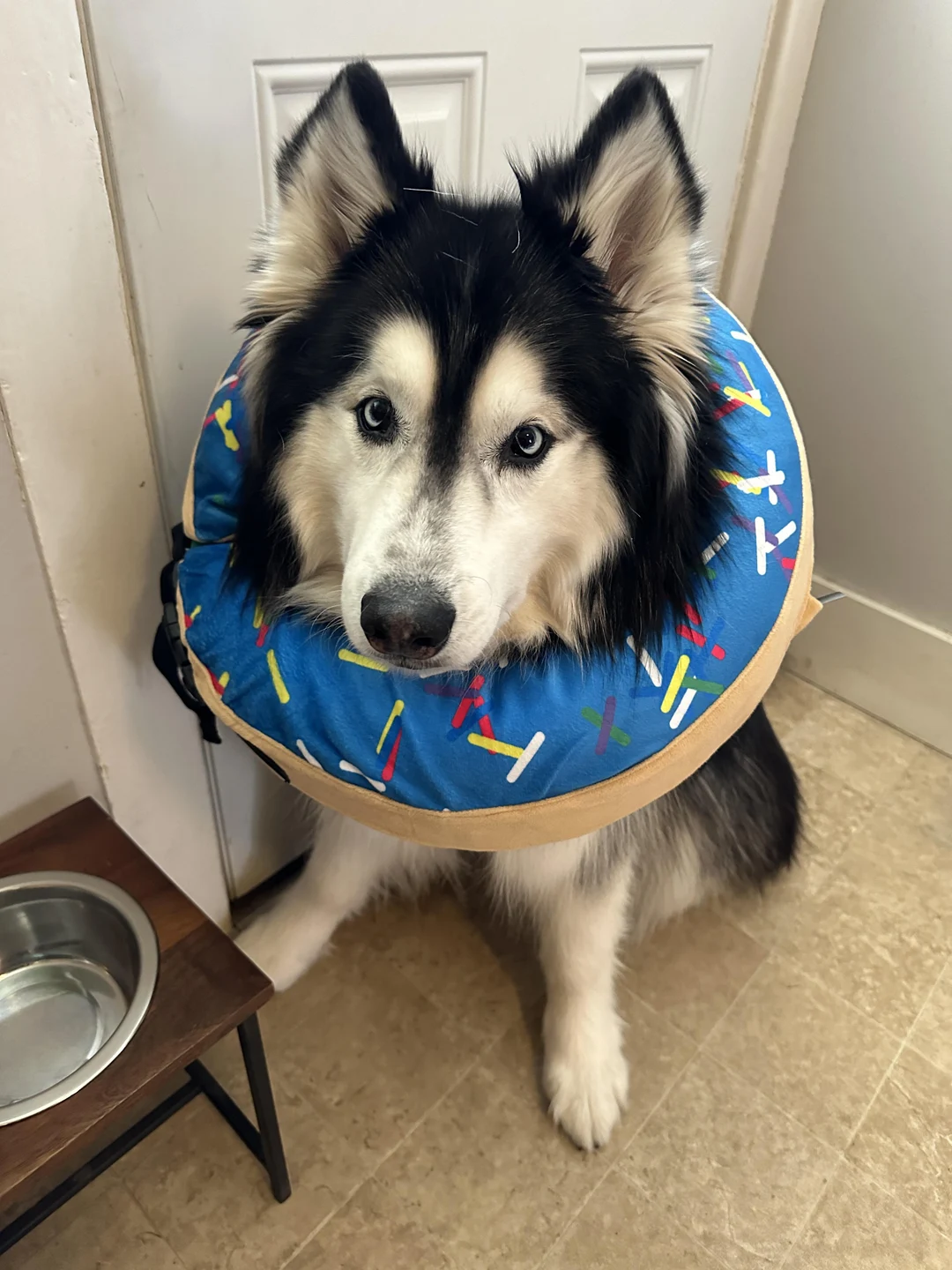 Lump removal | Scrolller