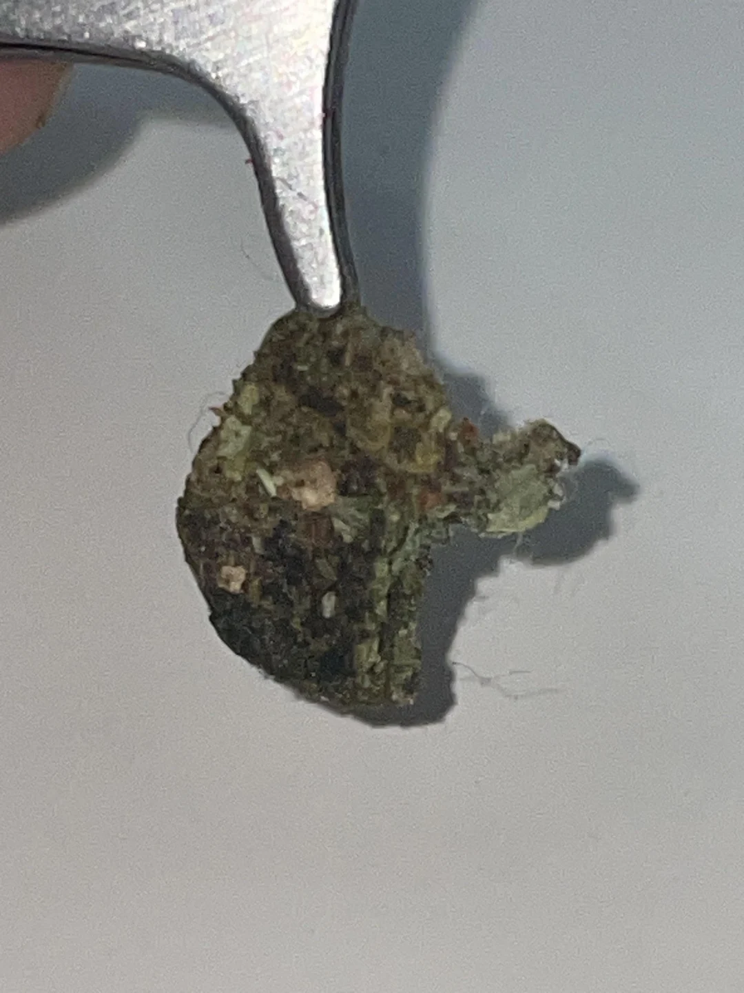 why my weed look like this? | Scrolller